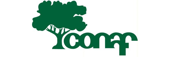 Conaf calificó como "irrecuperable" la tala de 5 hectareas del bosque ...