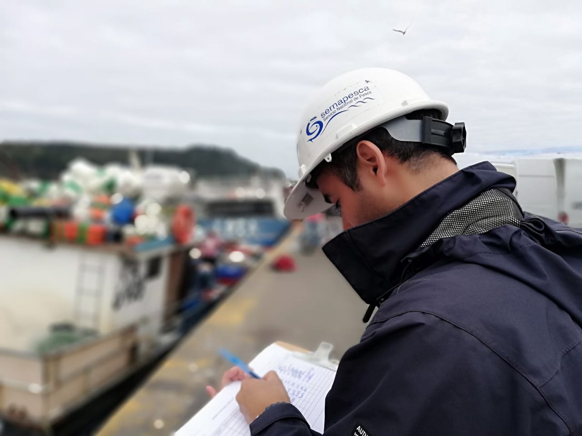 Sernapesca alertó que cuatro áreas permanecen cerradas por presencia de ...