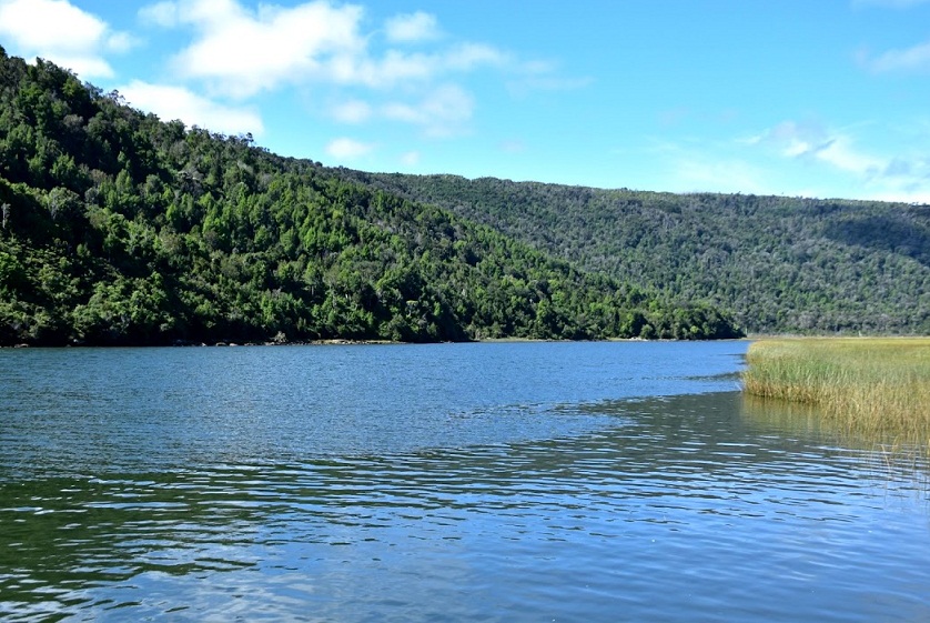 Región de Los Lagos: Murió joven ahogada en río de Fresia