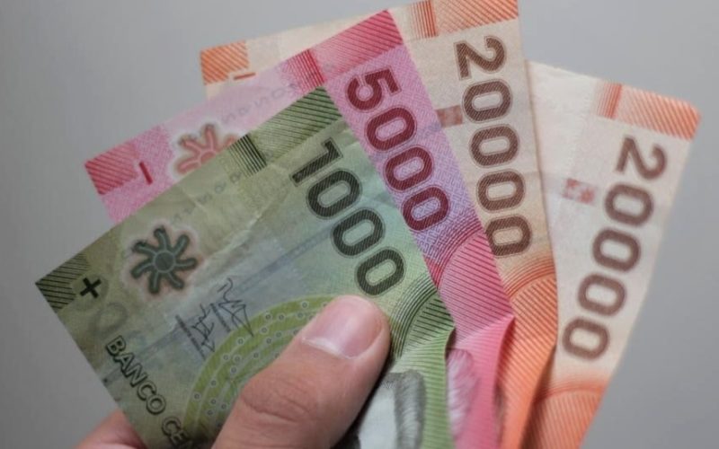 IPS y ChileAtiende: Consulta con tu RUT la fecha de pago de diferentes ...