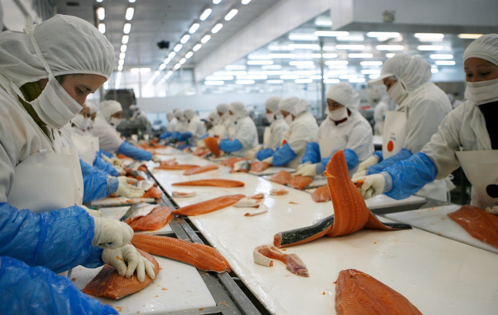 Gigante china Joyvio presenta querella por estafa en el caso Australis ...